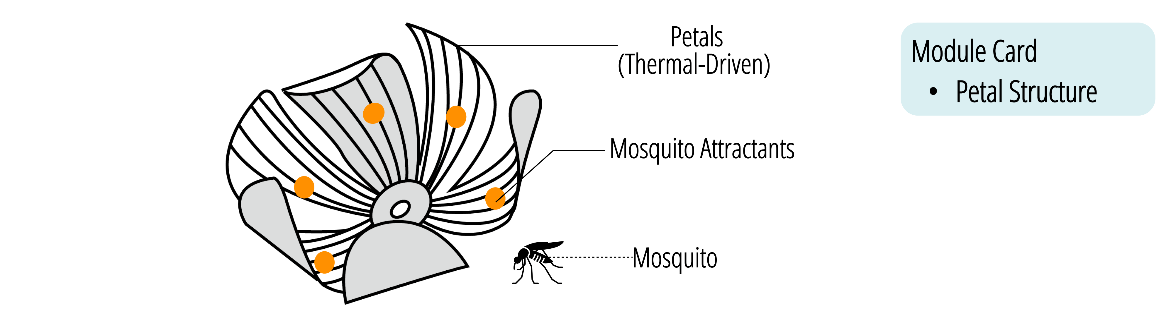 Mosquito Luring